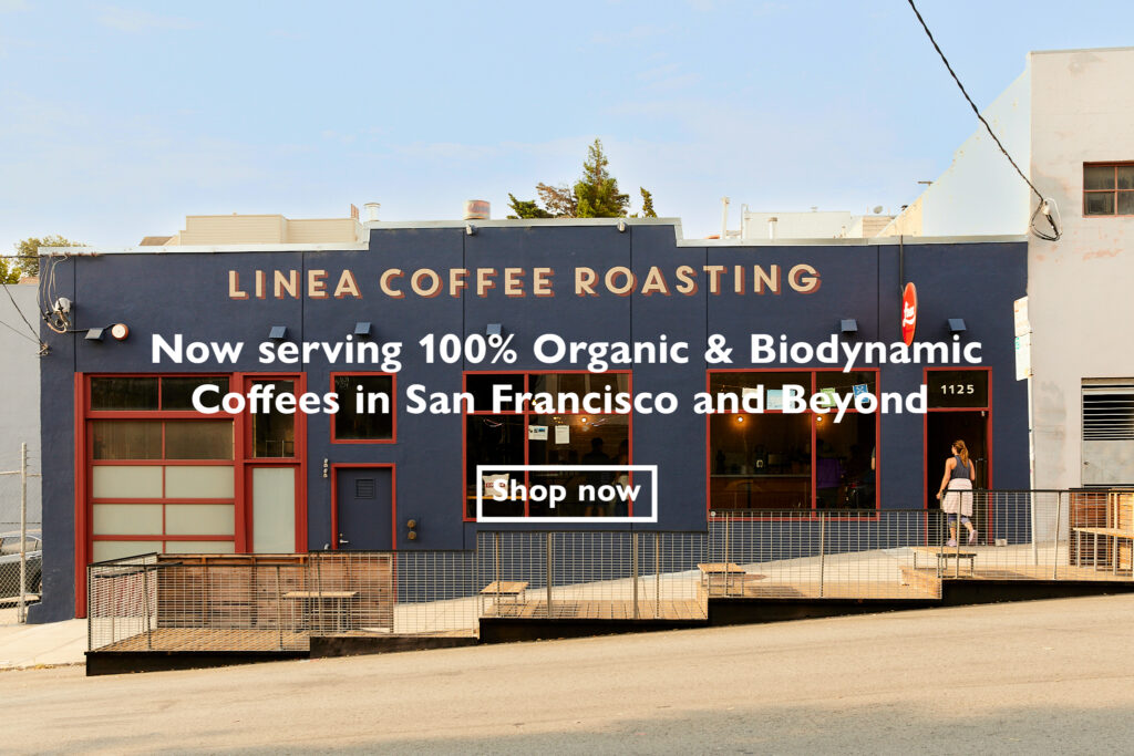Linea Caffe » A San Francisco Based Coffee Roasting Company and Cafe